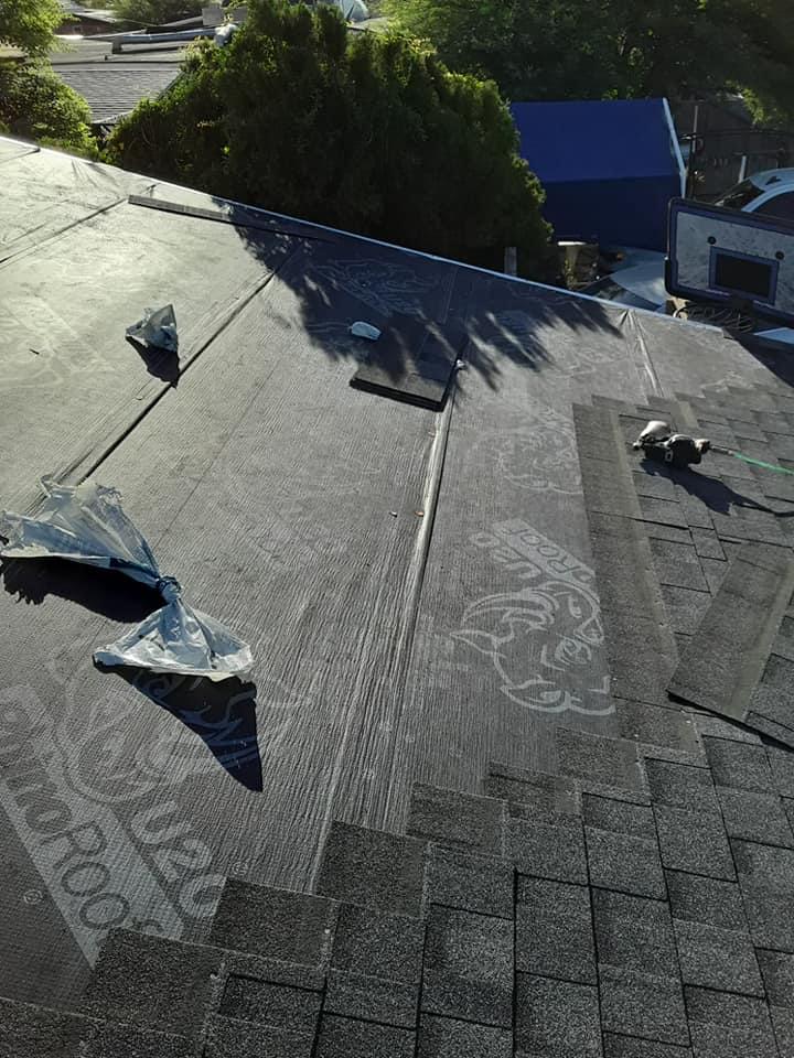 Shingle Roof Replacement New Port Richey | Shingle Roof Repair NPR